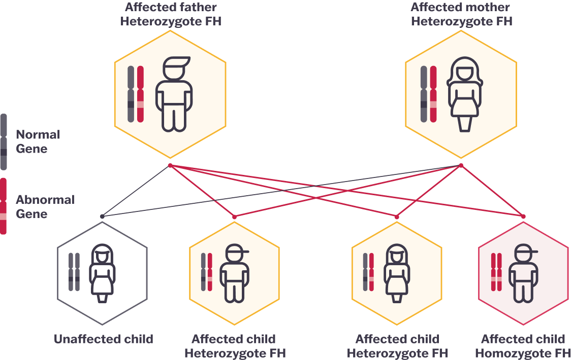 Homozygous Familial Hypercholesterolemia